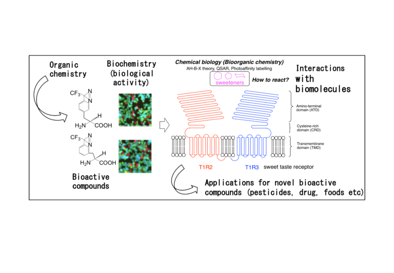 Molecular and Ecological Chemistry | The Global Education Program for ...