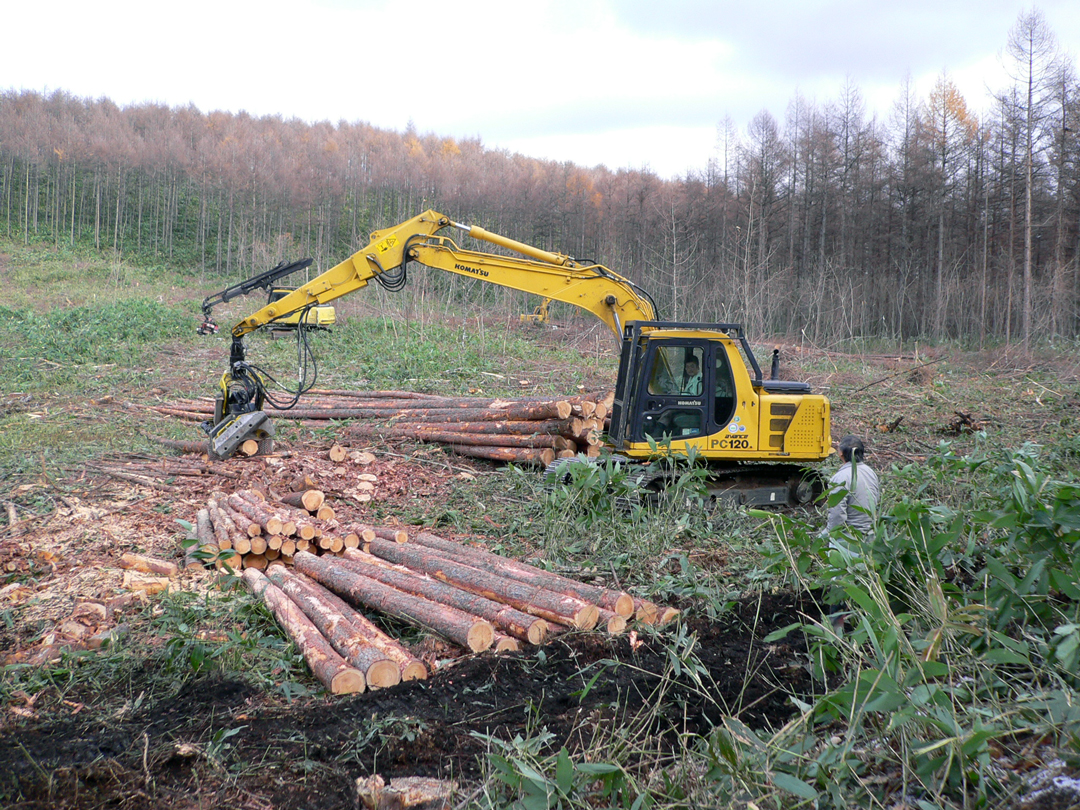 Forest Policy The Global Education Program For Agriscience Frontiers