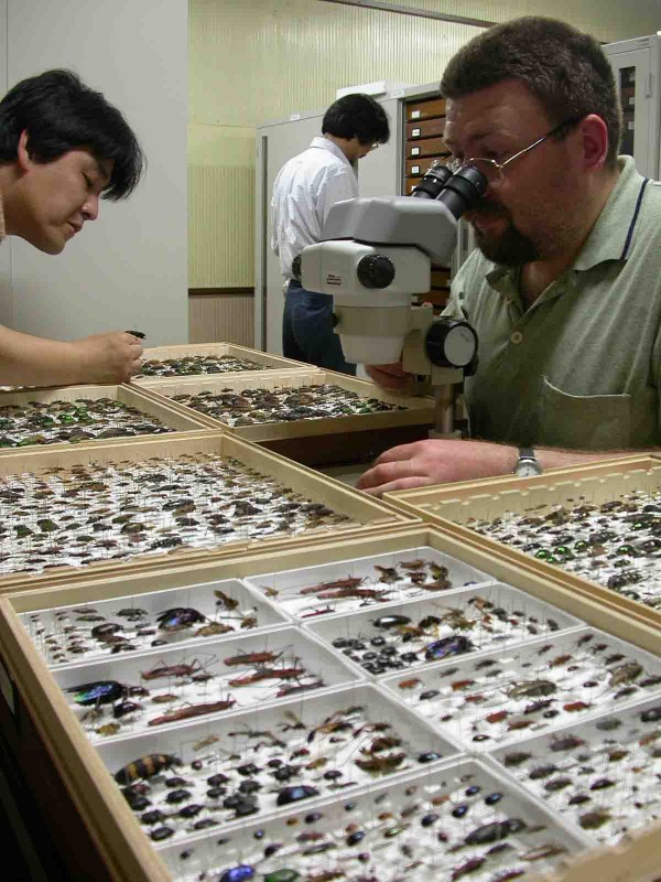 Systematic Entomology | The Global Education Program for AgriScience ...