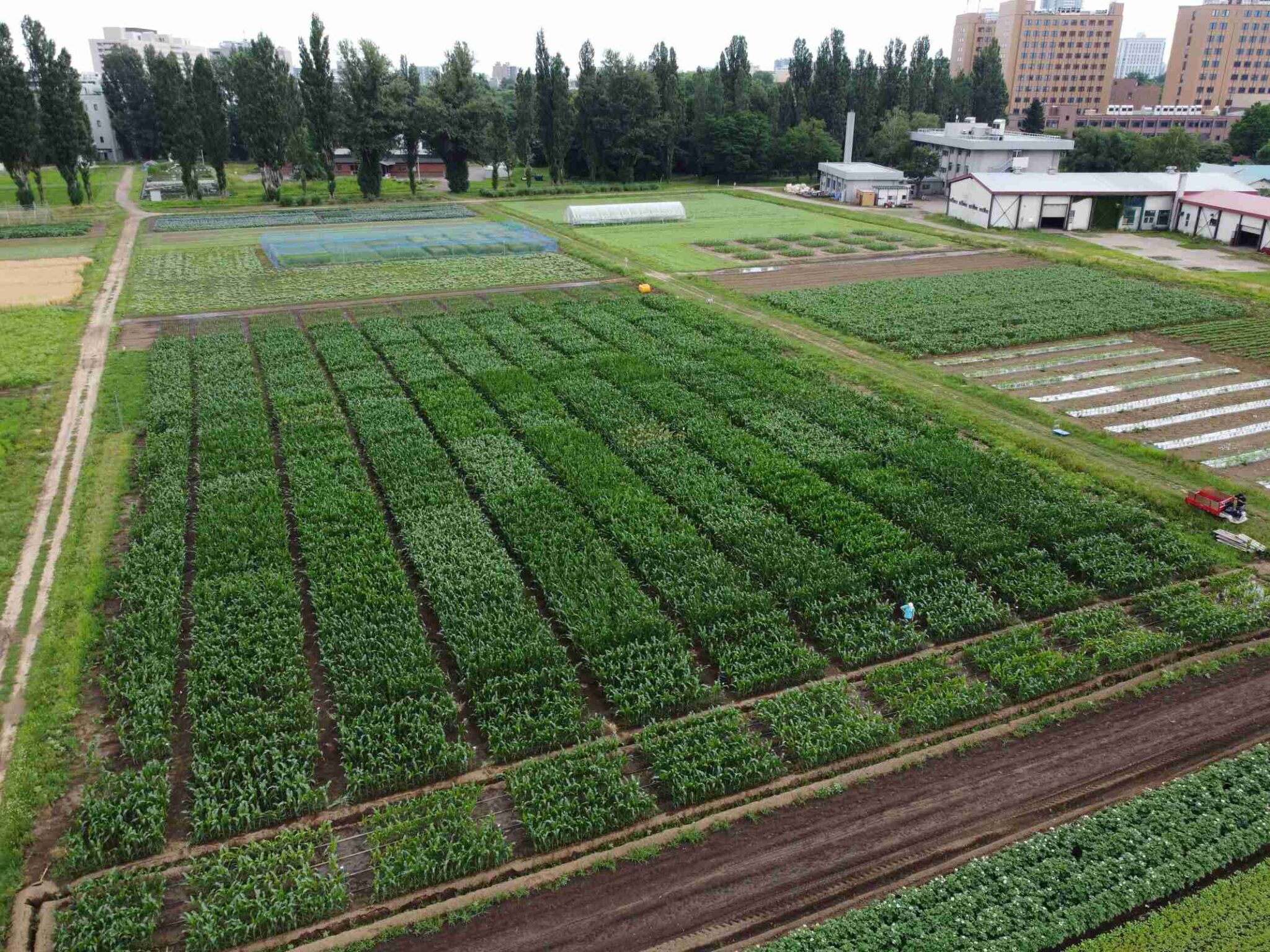 Crop Science | The Global Education Program for AgriScience Frontiers