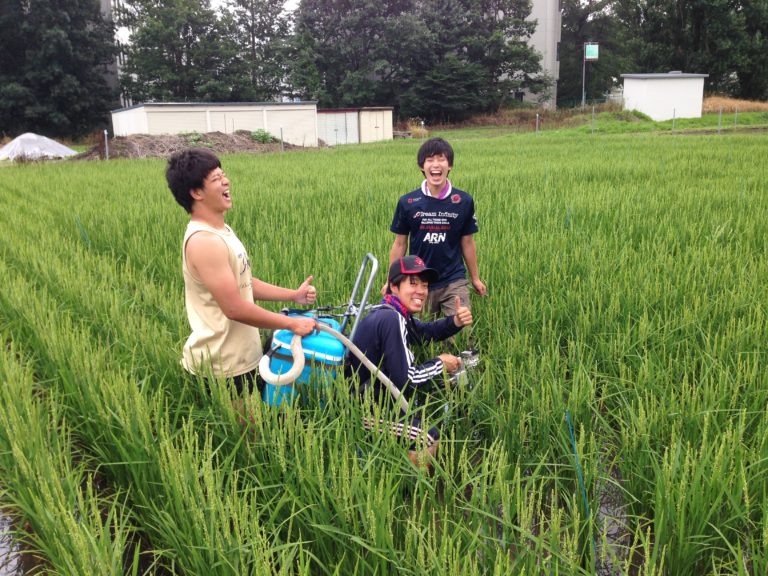 Laboratory of Crop Science – School of Agriculture / Graduate School of ...