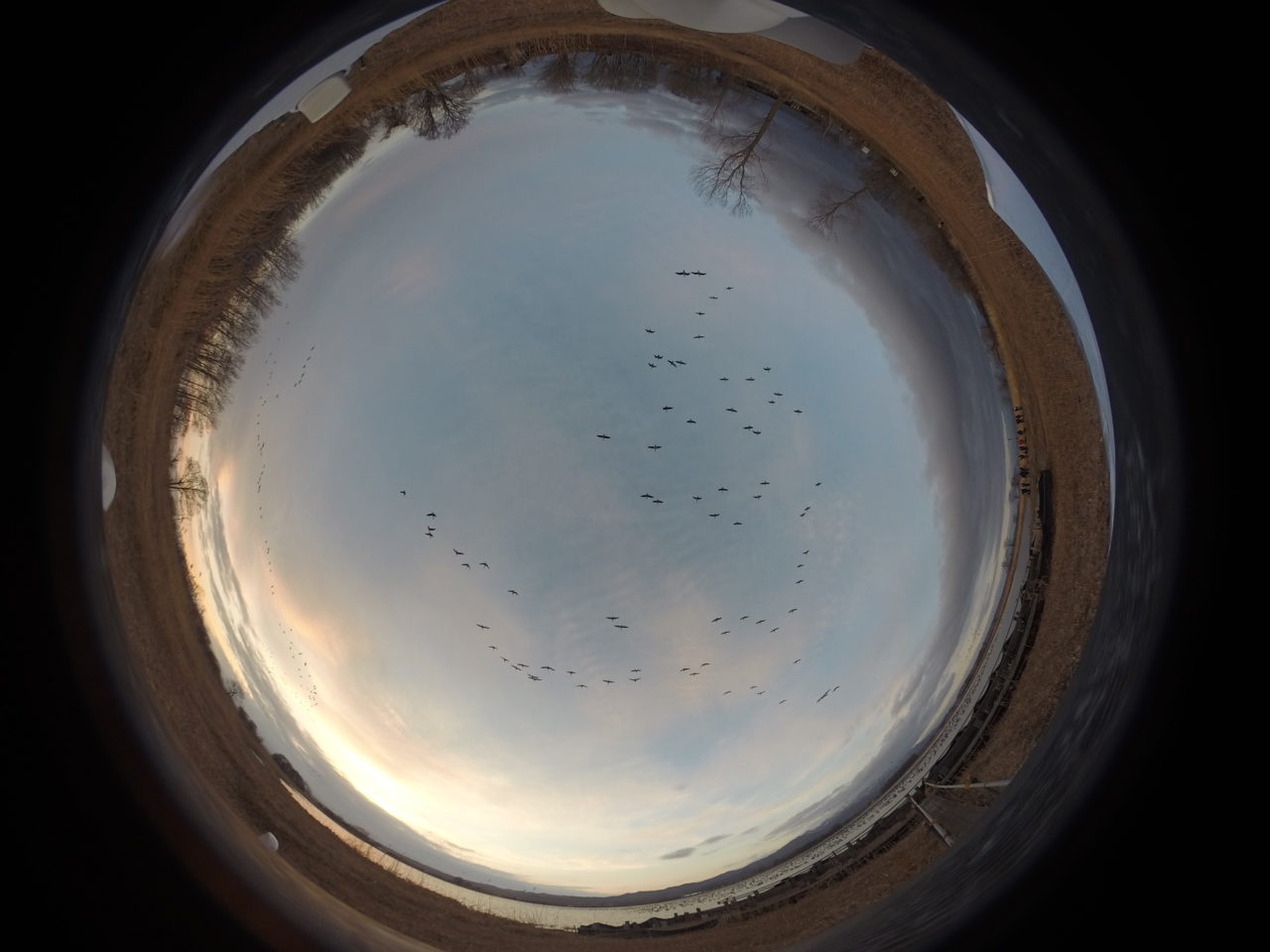 Laboratory of Ecological and Environmental Physics – School of ...